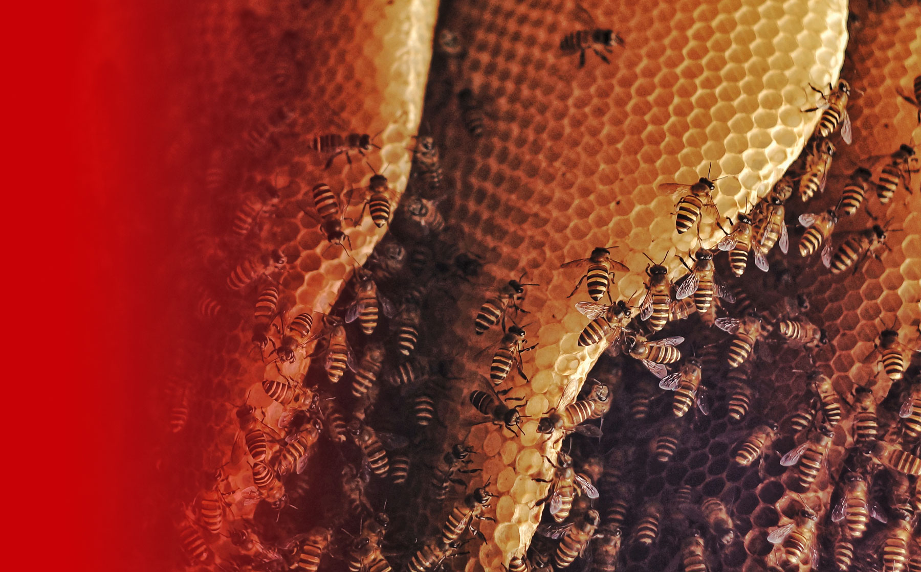 Herbstanlass 2024 - Dokumente - VBBV